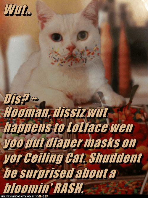 Wut... - Lolcats - lol | cat memes | funny cats | funny cat pictures ...