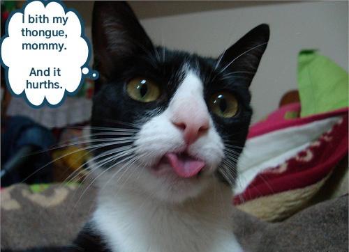 Outhch! - Lolcats - lol | cat memes | funny cats | funny cat pictures ...