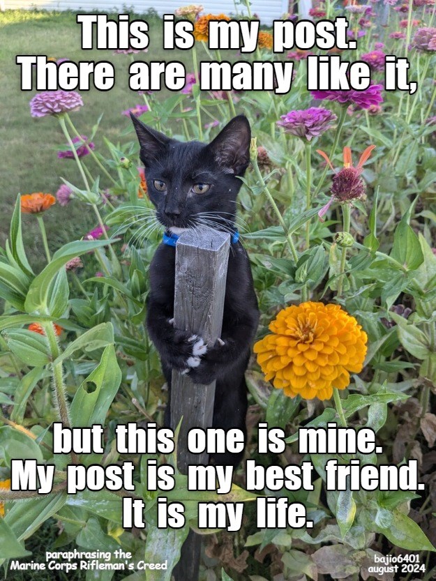 The kitteh's creed - Lolcats - lol | cat memes | funny cats | funny cat ...