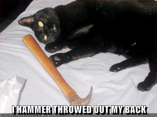 I HAMMER THROWED OUT MY BACK - Lolcats - lol | cat memes | funny cats ...