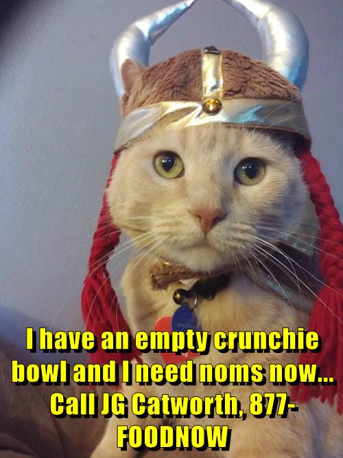 Call right meow - Lolcats - lol | cat memes | funny cats | funny cat ...