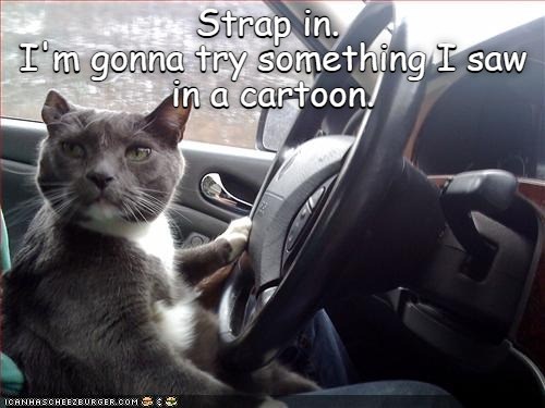 And stop screaming! - Lolcats - lol | cat memes | funny cats | funny ...