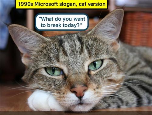 1990s Microsoft slogan, cat version - Lolcats - lol | cat memes | funny ...