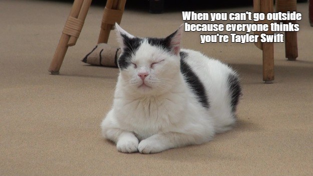 The Struggle Is Real - I Can Has Cheezburger?