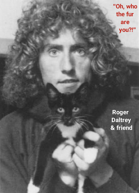 Roger Daltrey & friend - Lolcats - lol | cat memes | funny cats | funny ...