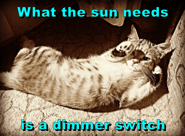 What the sun needs is a dimmer switch - Lolcats - lol | cat memes ...