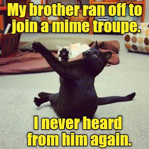 A moment of silence please. - Lolcats - lol | cat memes | funny cats ...