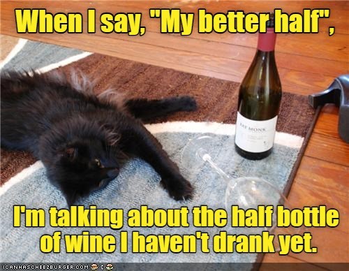 Married to the bottle - Lolcats - lol | cat memes | funny cats | funny ...
