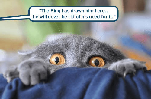 Gollum cat - Lolcats - lol | cat memes | funny cats | funny cat ...