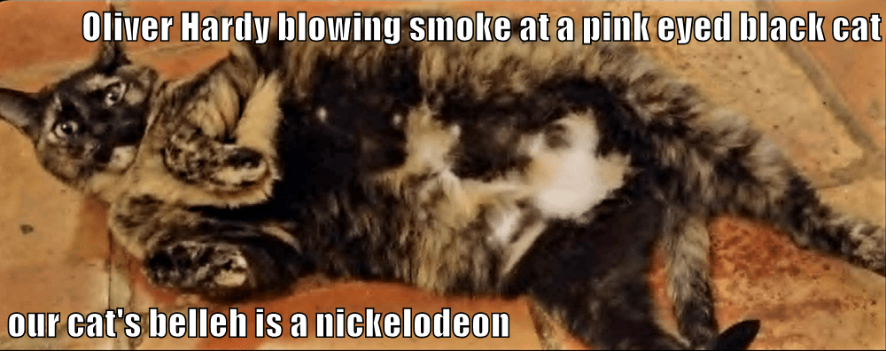 Oliver Hardy blowing smoke at a pink eyed black cat - Lolcats - lol ...