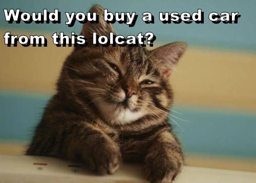 Would you buy a used car from this lolcat? - Lolcats - lol | cat memes ...