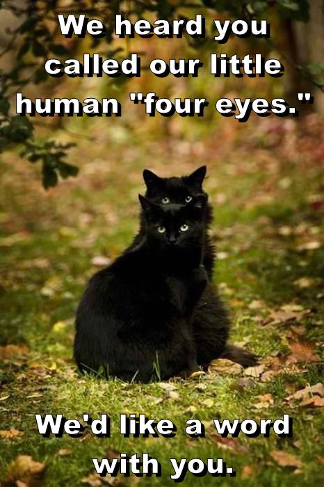 We'd like a word with you. - Lolcats - lol | cat memes | funny cats ...