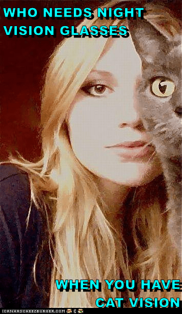 CAT VISION - Lolcats - lol | cat memes | funny cats | funny cat ...