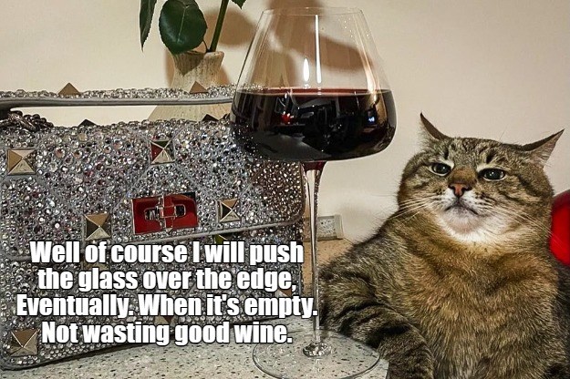 A little patience, please - Lolcats - lol | cat memes | funny cats ...