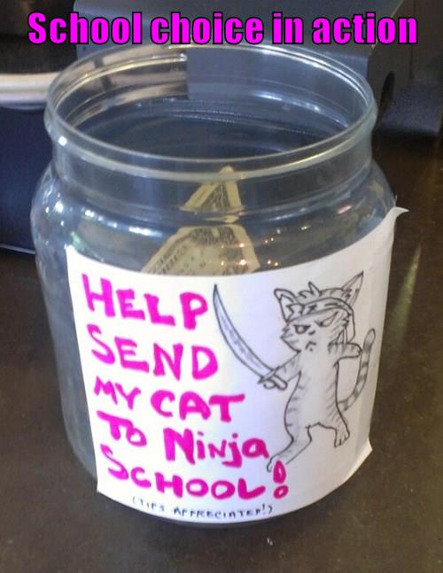 School choice in action - Lolcats - lol | cat memes | funny cats ...