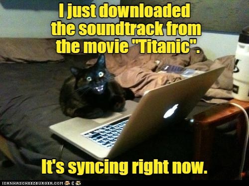 My meow will go on - Lolcats - lol | cat memes | funny cats | funny cat ...