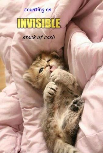 invisible cash counting - Lolcats - lol | cat memes | funny cats ...