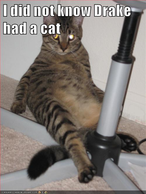I did not know Drake had a cat - Lolcats - lol | cat memes | funny cats ...