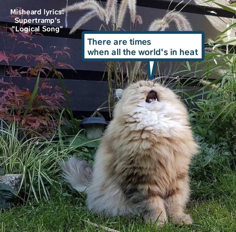 Misheard lyrics: Supertramp's "Logical Song" - Lolcats - lol | cat ...