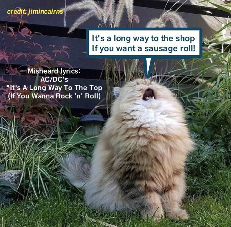 Misheard lyrics: AC/DC's Long Way To The Top - Lolcats - lol | cat ...
