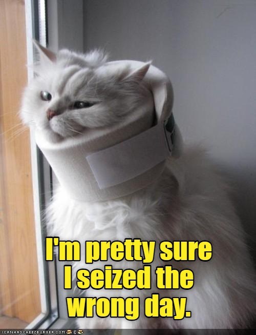 If you must seize, seize sure. - Lolcats - lol | cat memes | funny cats ...
