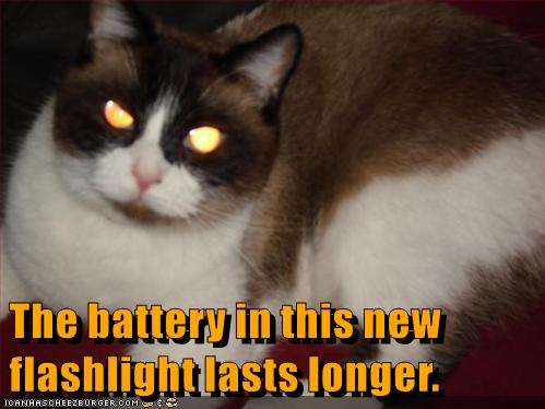 The wonders of technology. - Lolcats - lol | cat memes | funny cats ...