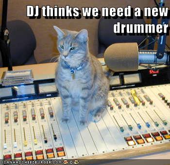 DJ thinks we need a new drummer - Lolcats - lol | cat memes | funny ...