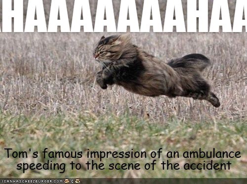 Tom's famous impression of an ambulance - Lolcats - lol | cat memes ...