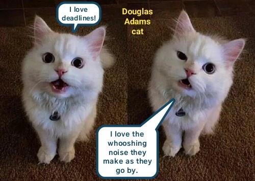 Douglas Adams cat - Lolcats - lol | cat memes | funny cats | funny cat ...