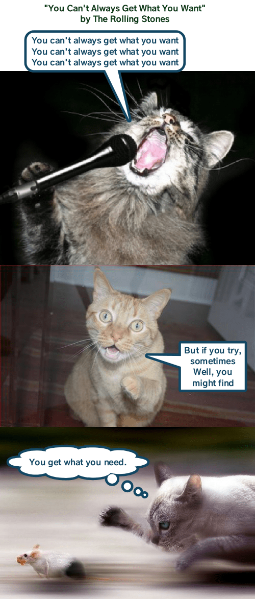 "You Can't Always Get What You Want" by The Rolling Stones - Lolcats ...