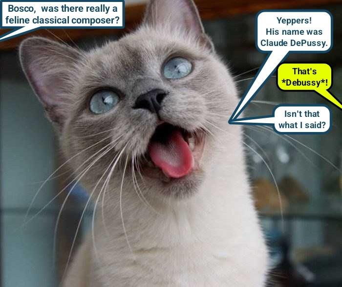 Close enough - Lolcats - lol | cat memes | funny cats | funny cat ...