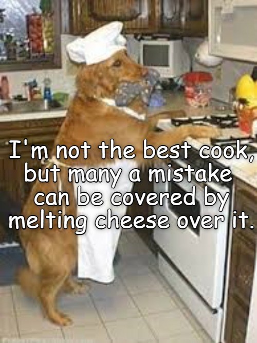 Follow me for more cooking tips! - Animal Comedy - Animal Comedy, funny ...