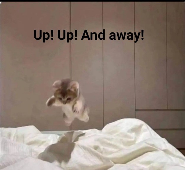 Superkitten! - Lolcats - lol | cat memes | funny cats | funny cat ...