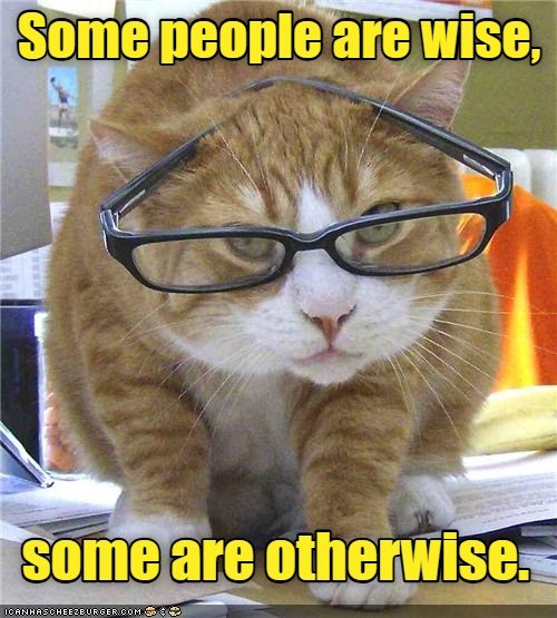 Words of wisdom. - Lolcats - lol | cat memes | funny cats | funny cat ...