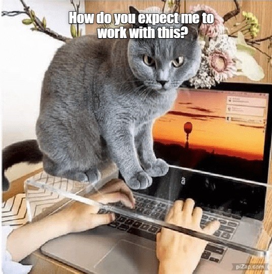 HOW? - Lolcats - lol | cat memes | funny cats | funny cat pictures with ...