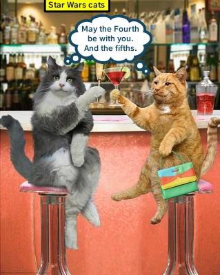 Star Wars cats - Lolcats - lol | cat memes | funny cats | funny cat ...