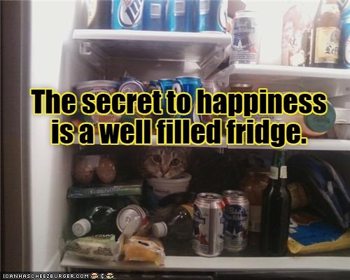 The secret to happiness is a well filled fridge - Lolcats - lol | cat memes | funny cats | funny ...