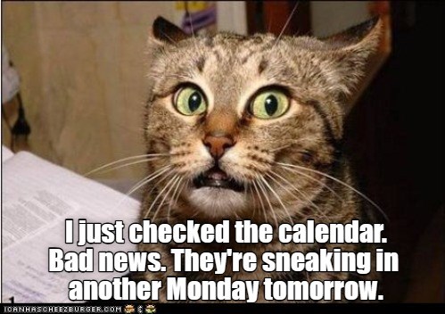 What again? - Lolcats - lol | cat memes | funny cats | funny cat ...