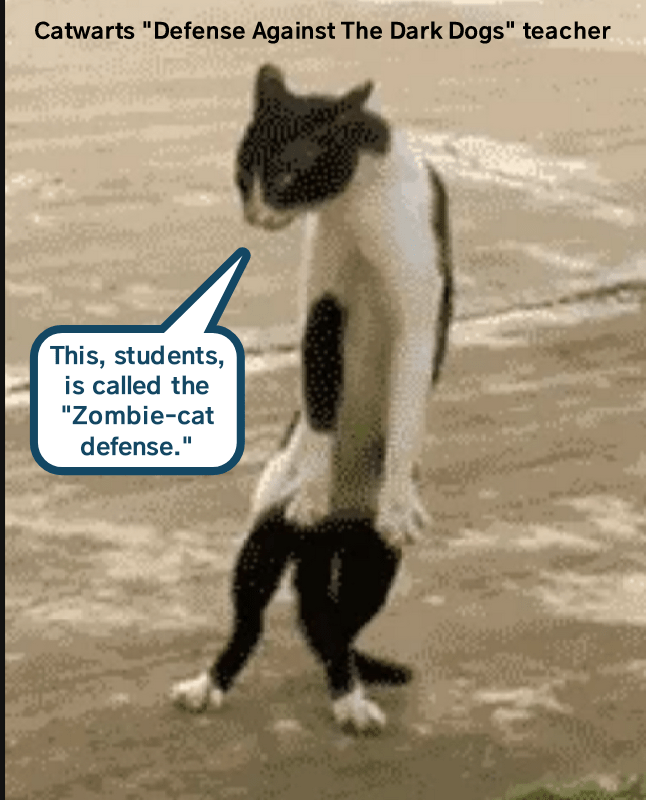 Guaranteed to send them running - Lolcats - lol | cat memes | funny ...