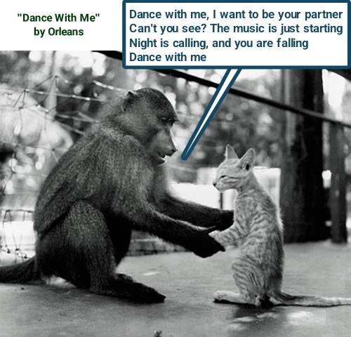 "Dance With Me" by Orleans - Lolcats - lol | cat memes | funny cats ...