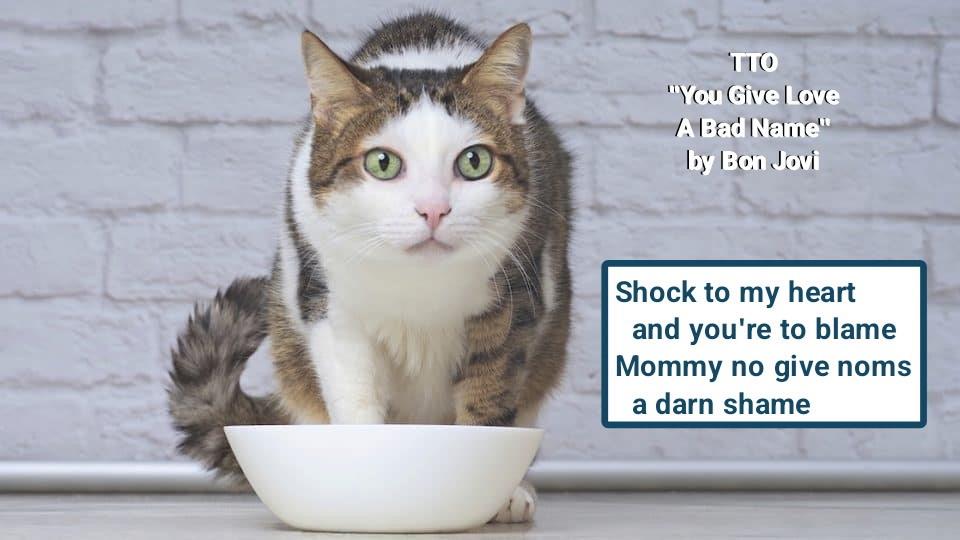 TTO "You Give Love A Bad Name" by Bon Jovi - Lolcats - lol | cat memes ...