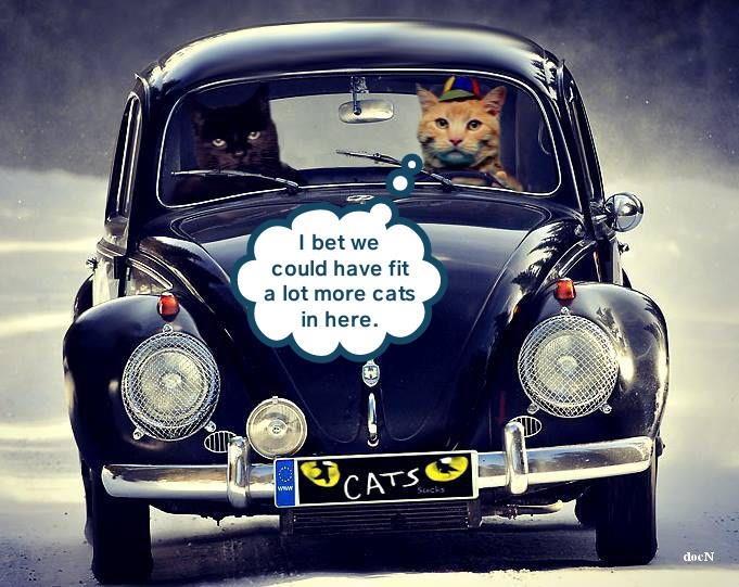 Uber cat hearkens back - Lolcats - lol | cat memes | funny cats | funny ...