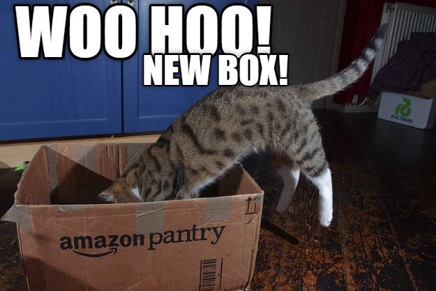 NEW BOX - Lolcats - lol | cat memes | funny cats | funny cat pictures ...