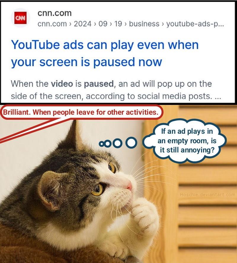 Paws vs pause - Lolcats - lol | cat memes | funny cats | funny cat ...