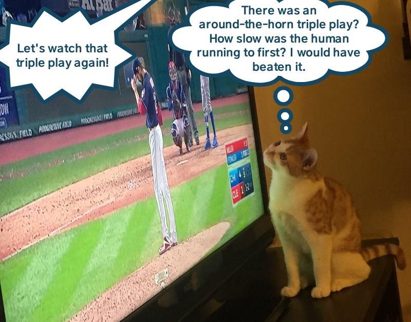 The game ends, but kitty has questions - Lolcats - lol | cat memes ...