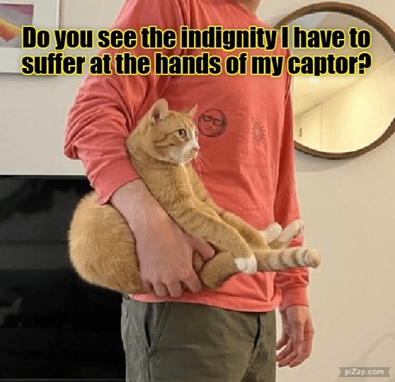 Do you see the indignity I have to suffer at the hands of my captor ...