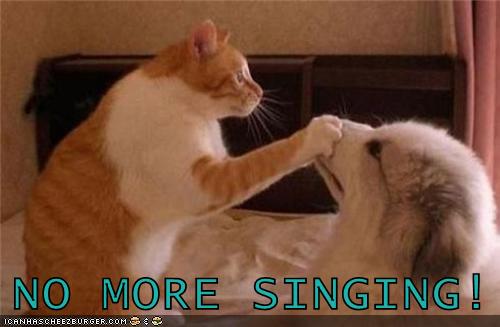 NO MORE SINGING! - Lolcats - lol | cat memes | funny cats | funny cat ...