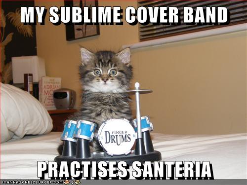 MY SUBLIME COVER BAND - Lolcats - lol | cat memes | funny cats | funny ...