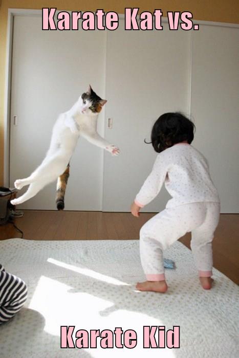 Karate Kat vs. Karate Kid - Lolcats - lol | cat memes | funny cats ...