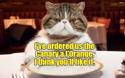 Classic dish - Lolcats - lol | cat memes | funny cats | funny cat ...